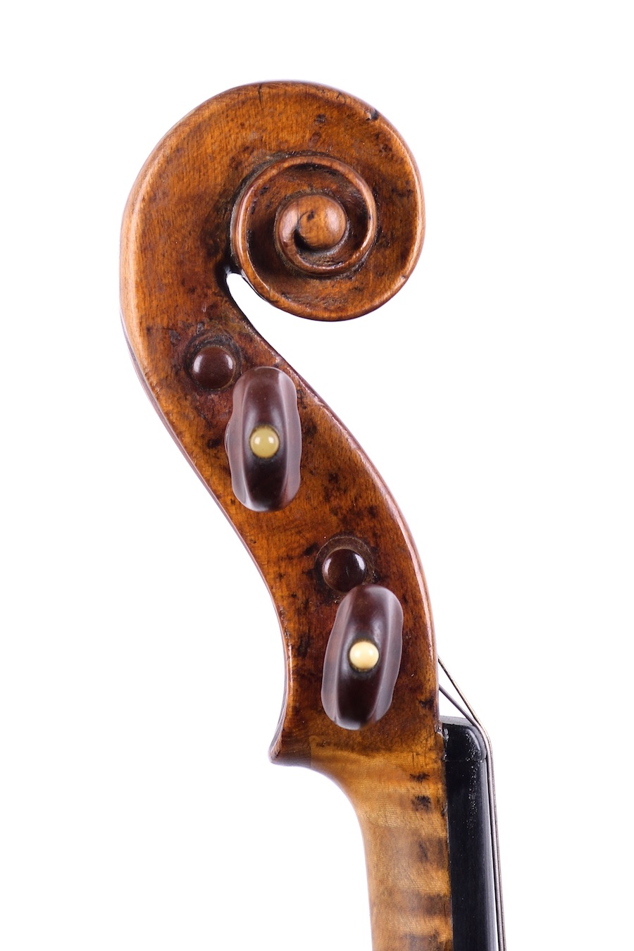 Albani, Matthias | Scrollavezza & Zanrè